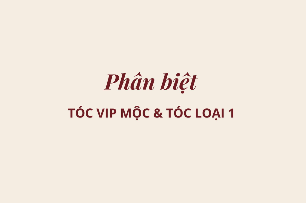 Phân biệt Tóc VIP mộc và Tóc loại 1 của tóc kẹp từ tóc thật La:guu – GU ...