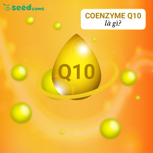 Khám Phá Lợi Ích Của Coenzyme Q10: Bí Quyết Cho Sức Khỏe Tốt Hơn – Seedcoms