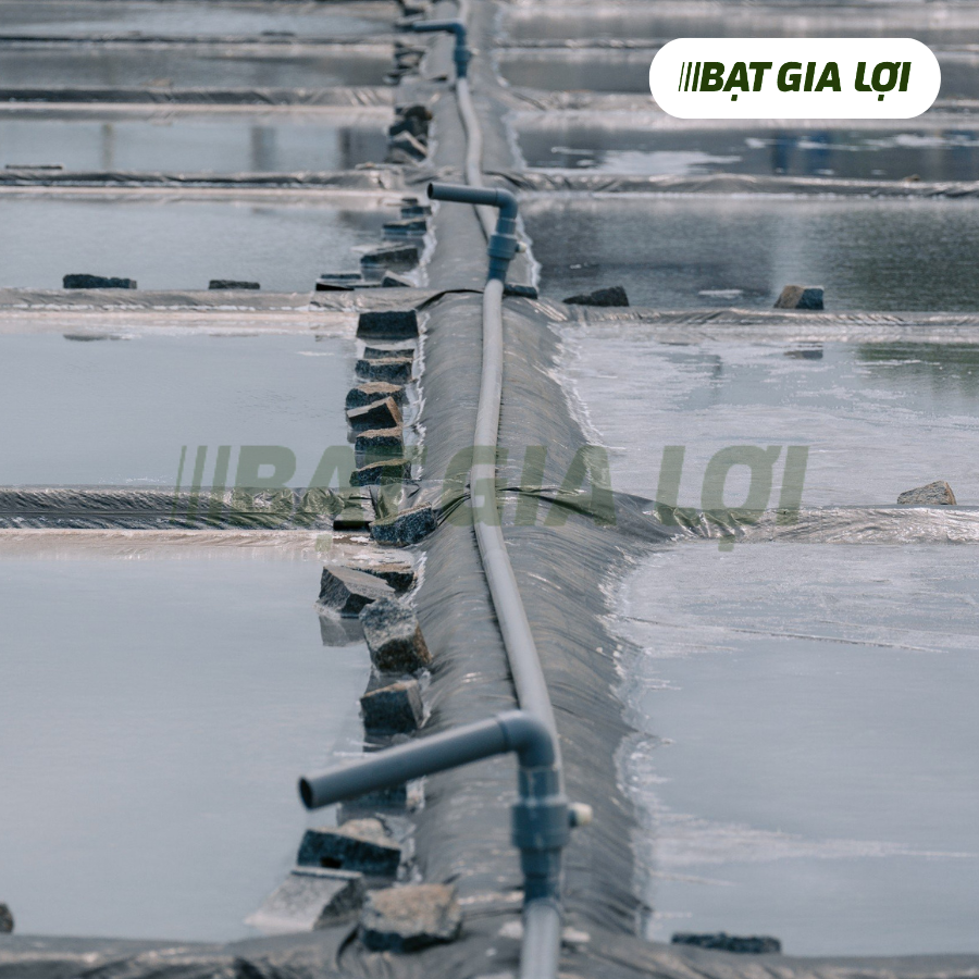 CÁC TIÊU CHÍ LỰA CHỌN BẠT NUÔI ẾCH CHẤT LƯỢNG – Công ty Cổ Phần Bạt Gia Lợi