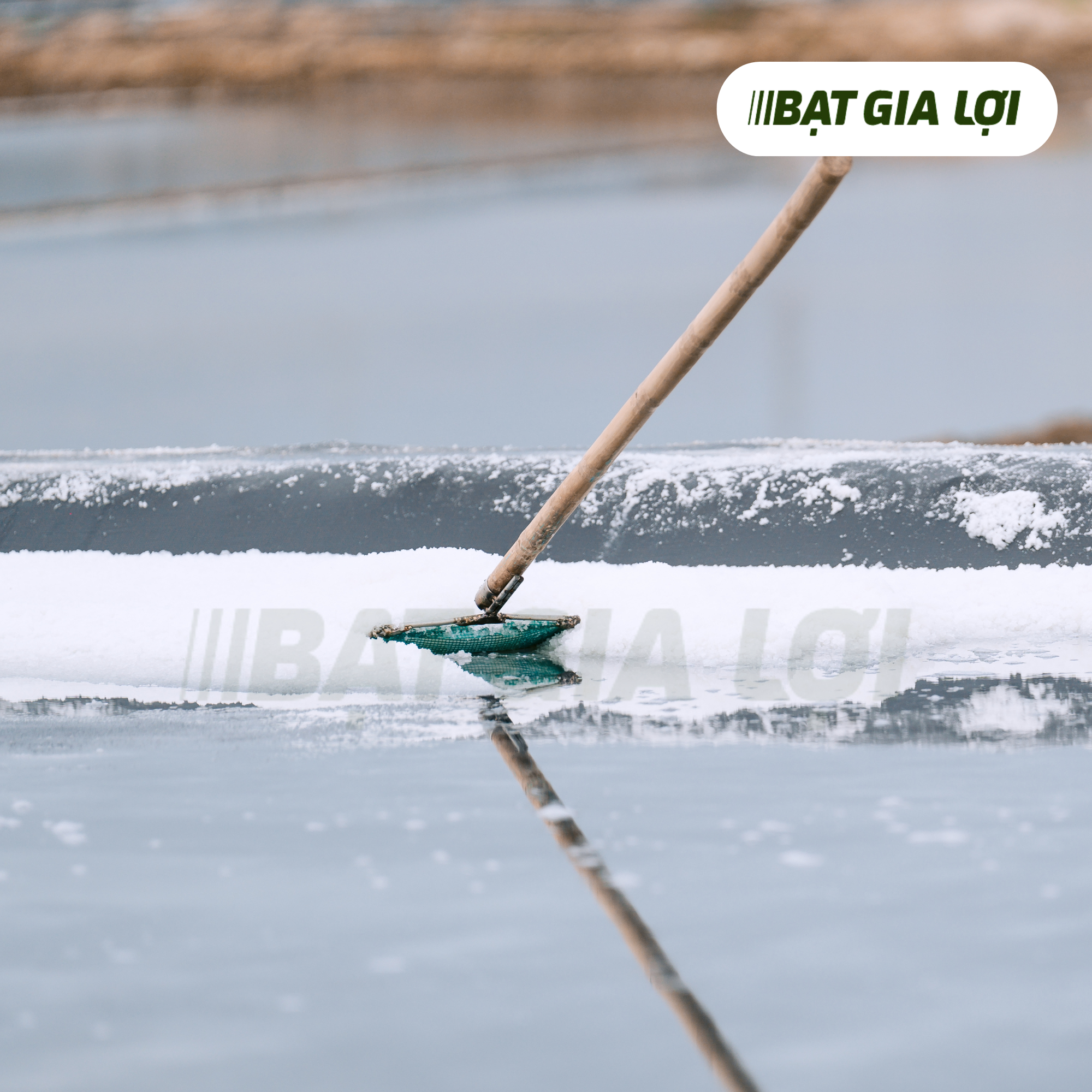 Tăng Sản Lượng Và Chất Lượng Muối Nhờ Bạt Muối Mega UV – Công ty Cổ Phần Bạt Gia Lợi