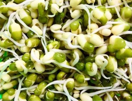 15 tác dụng không ngờ của Chiết xuất mầm đậu nành Phạm Gia