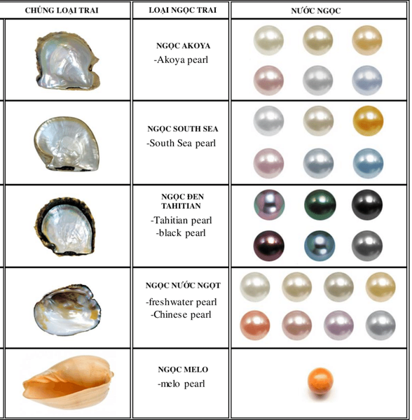 CÁC LOẠI NGỌC TRAI