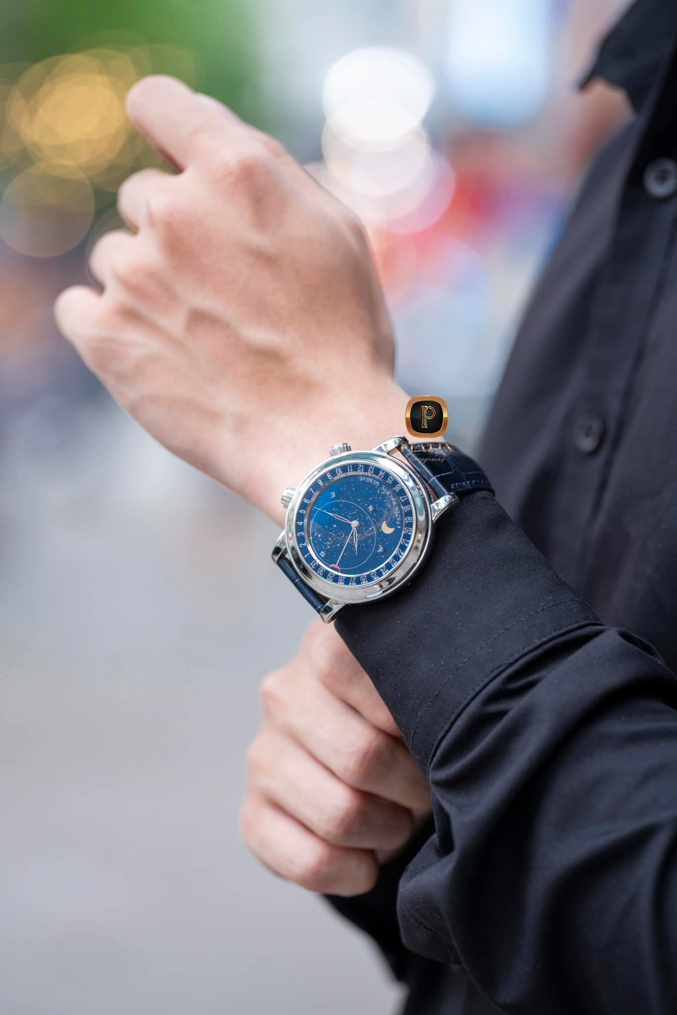 Đồng hồ Patek Philippe Grand Complications 6102P-001Platinum Sky Chart ...
