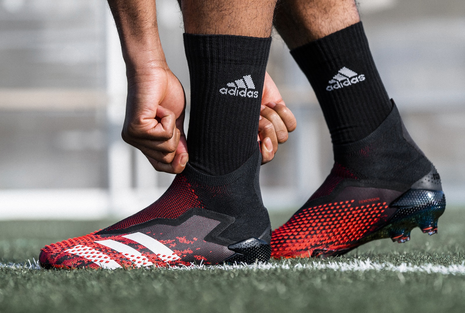Giày đá bóng Adidas Predator và sự phát triển không ngừng – Kirei & Hansamu