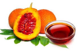 TRÁI GẤC VIỆT NAM, NỮ HOÀNG CỦA ĐÔI MẮT – HUMANCEL VINA