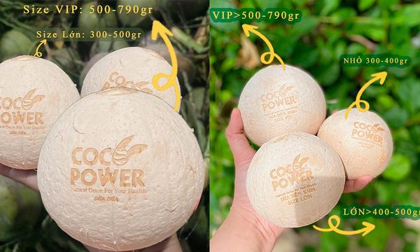 COCO POWER đồng thành cùng Thử thách "Tôi chọn Nghề nông" – Cộng đồng nông dân & nông nghiệp ...