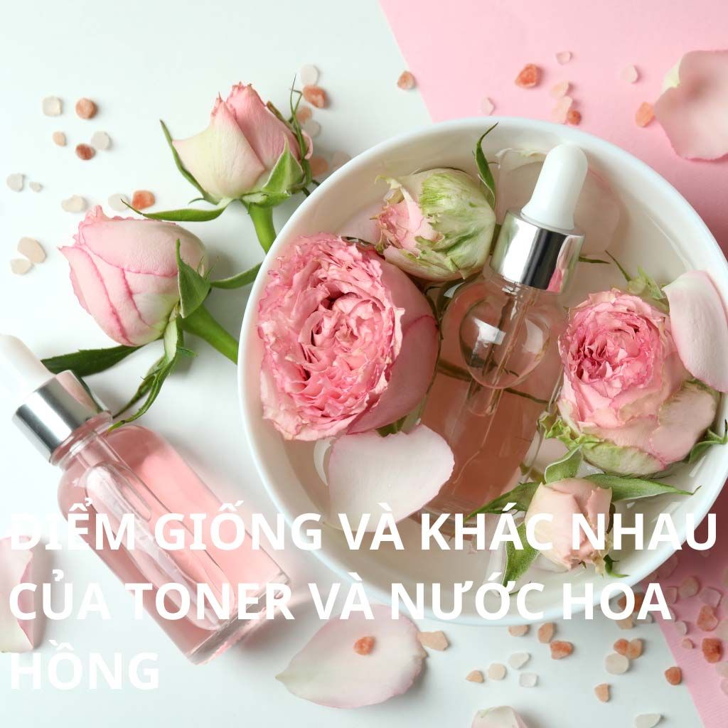 ĐIỂM GIỐNG VÀ KHÁC NHAU CỦA TONER VÀ NƯỚC HOA HỒNG – Hella Beauty