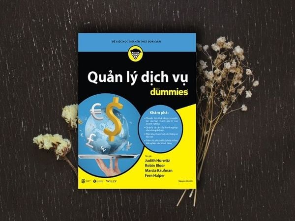 Sách { Trưng Bày } Quản Lý Dịch Vụ For Dummies - Judith Hurwitz Robi ...