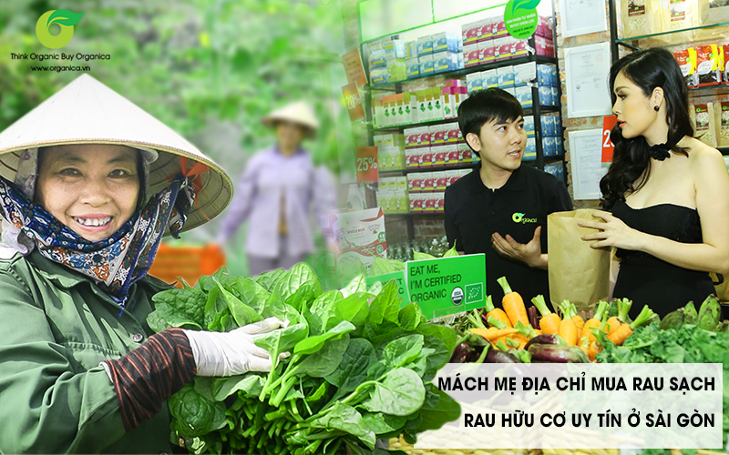 MÁCH MẸ ĐỊA CHỈ MUA RAU SẠCH, RAU HỮU CƠ UY TÍN Ở SÀI GÒN – Organica