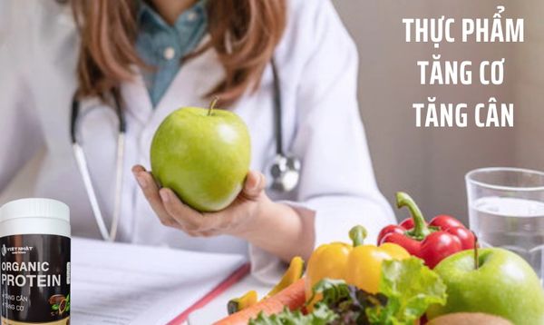 Thực đơn tăng cân, tăng cơ: Chi tiết và hướng dẫn