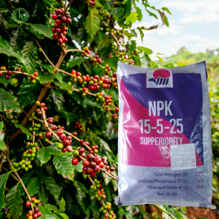 Phân Bón NPK 15-5-25: Đáp Ứng Mọi Nhu Cầu Dinh Dưỡng Cho Cây Trồng – Nông Dược Kobeta