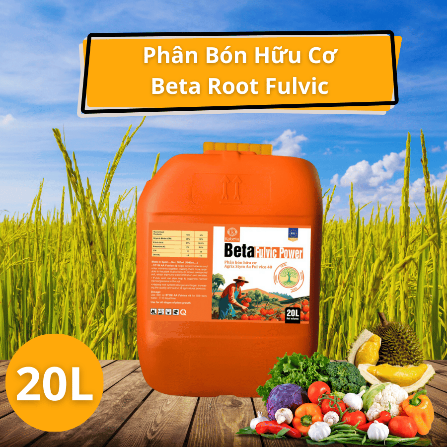 Phân Bón Hữu Cơ Beta Root Fulvic – Giải Pháp Toàn Diện Cho Hệ Rễ Và Đấ ...