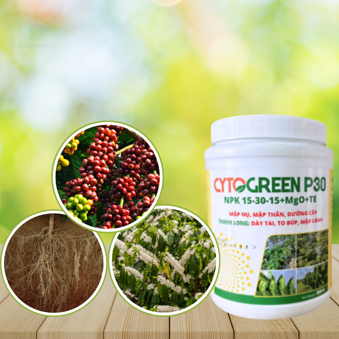 Cyto Green P30 - Phân Bón Lá NPK 15-30-15 + MgO + TE: Giải Pháp Tối Ưu ...