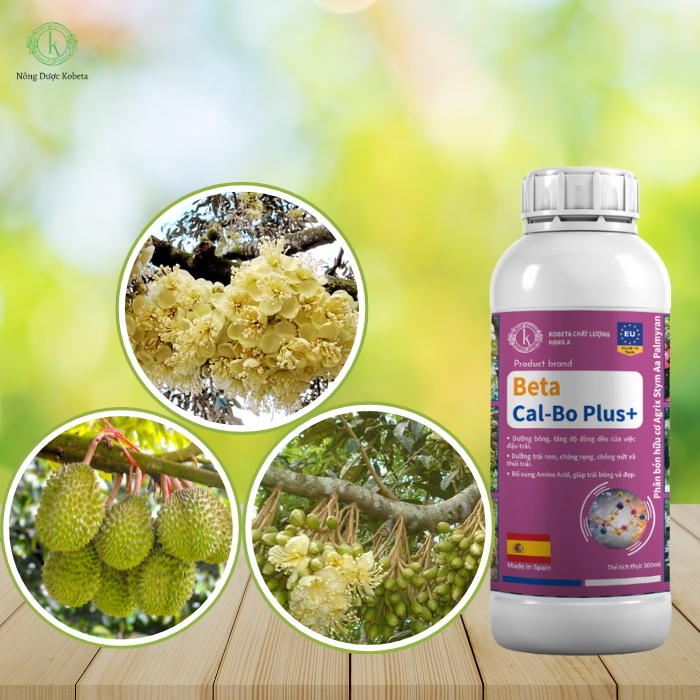 Phân Bón Hữu Cơ Beta Cal - Bo Plus – Giải Pháp Tăng Trưởng Tự Nhiên, H ...