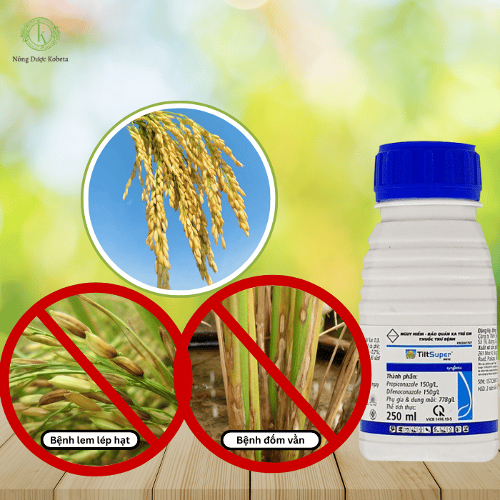 Thuốc Trừ Bệnh Tilt Super 300EC – Giải Pháp Hiệu Quả Đặc Trị Lem Lép H ...