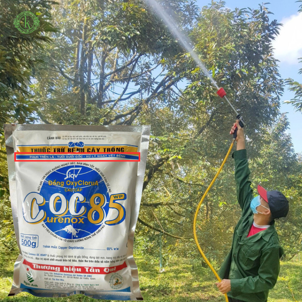 Thuốc Trừ Sâu Bệnh COC 85: Giải Pháp Hiệu Quả Phòng Trừ Nấm Bệnh, Bảo – Nông Dược Kobeta