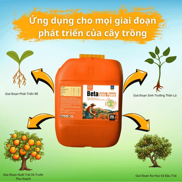 Phân Bón Hữu Cơ Beta Root Fulvic – Giải Pháp Toàn Diện Cho Hệ Rễ Và Đấ ...