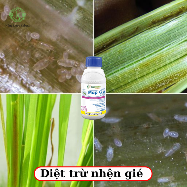 Thuốc Trừ Sâu Map Go 20ME – Giải Pháp Diệt Sâu Nhện Hiệu Quả, Bảo Vệ M ...