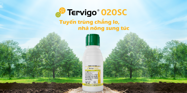 Thuốc trừ sâu TERVIGO® 020SC – Nông Dược Kobeta