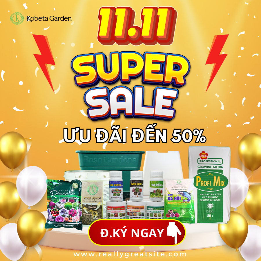 Ưu Đãi Siêu Sale 11/11 Tại Kobeta Có Gì? Khám Phá Ngay Những Combo Phâ – Kobeta Garden