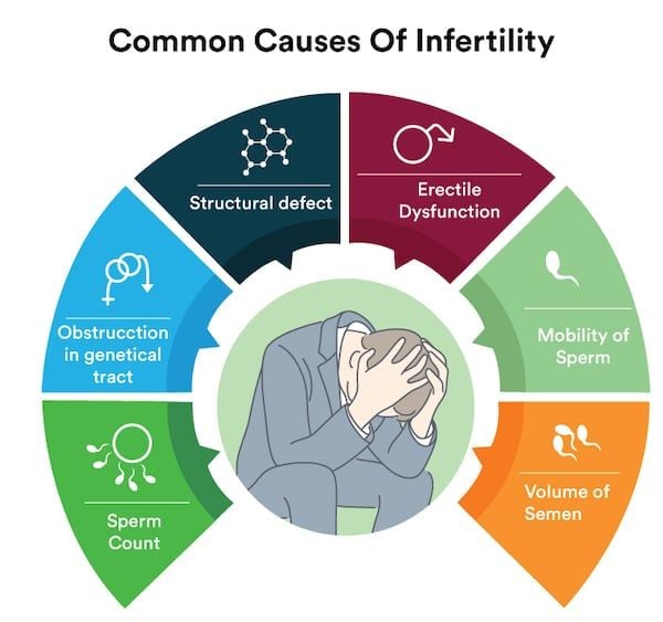 4 causes of male infertility ivfholymothers