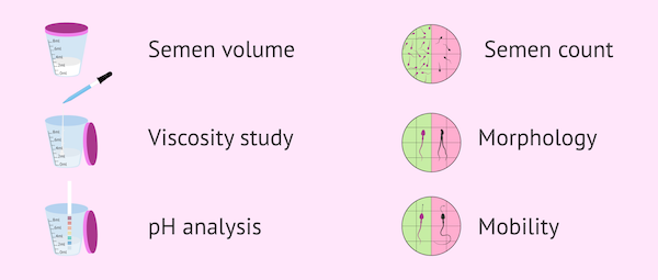 Semen Analysis and Test Results - Male Fertility Testing ivfholymothers