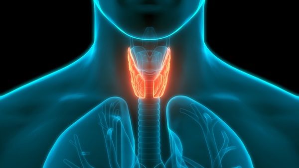 Hyperthyroidism in Men: What You Need to Know ivfholymothers