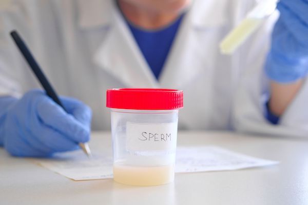 Why does semen color change and what does it mean? ivfholymothers