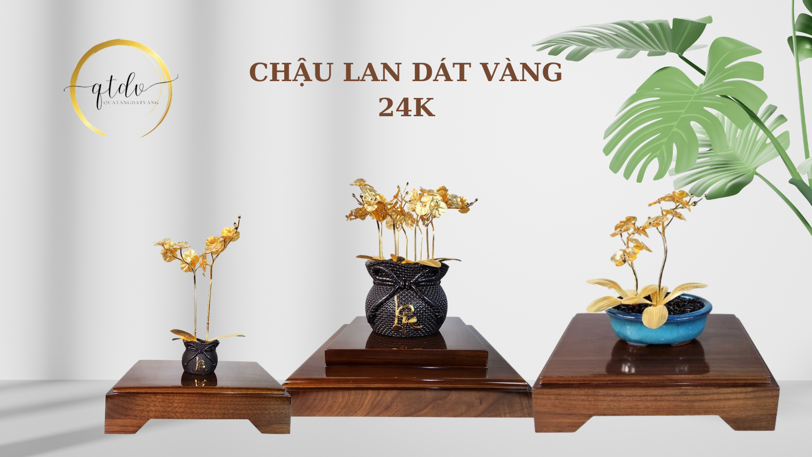 Chậu lan dát vàng làm quà tặng đẳng cấp cho đối tác– Quà tặng dát vàng