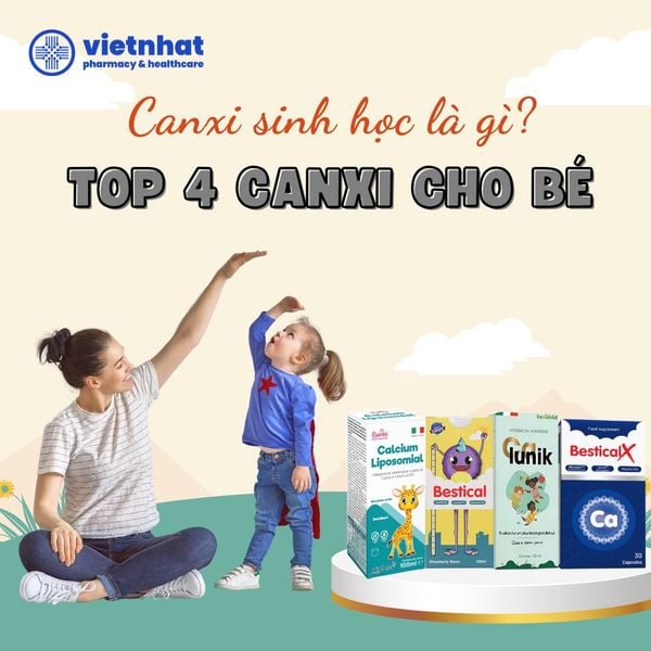 Canxi Sinh Học Là Gì? Top 4 Canxi Sinh Học Trên Thị Trường