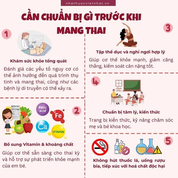 Cần Chuẩn Bị Gì Trước Khi Mang Thai?