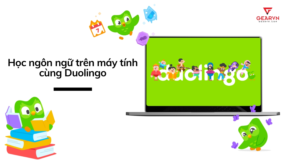Duolingo là gì? Hướng dẫn tải Duolingo về máy tính – GEARVN.COM
