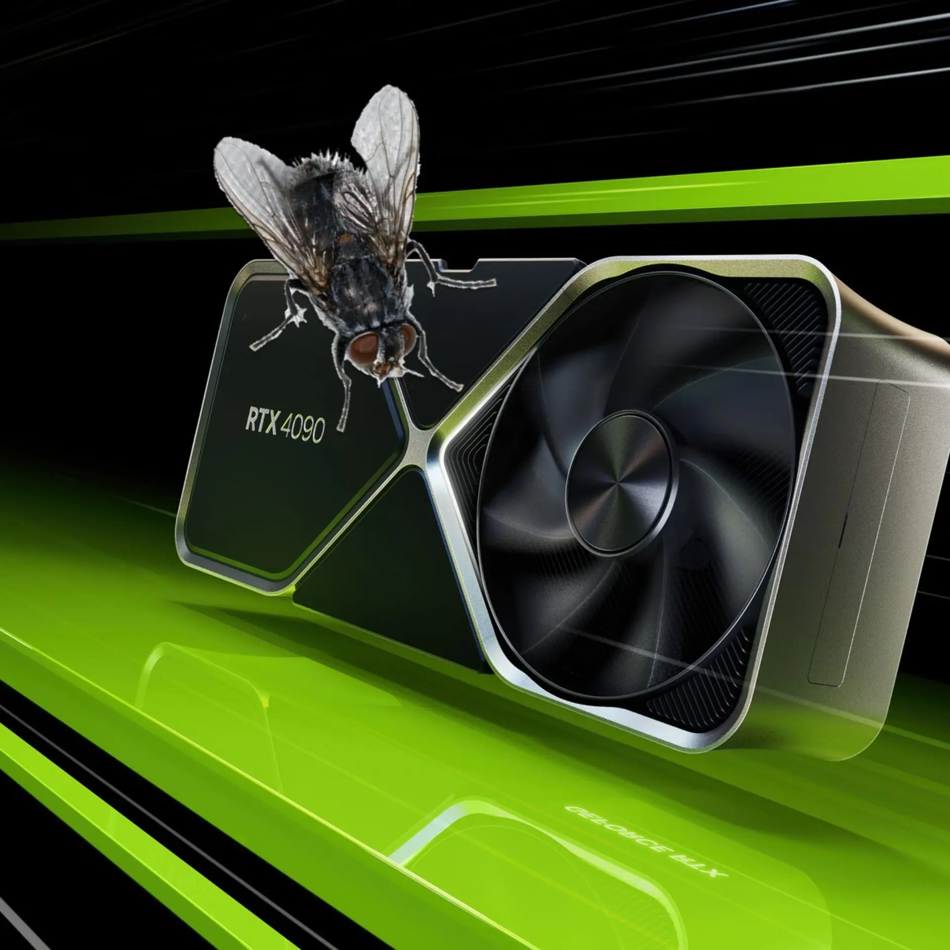 Một chiếc RTX 4090 bị “bug”, mà “bug” này là… một con bọ theo đúng ...