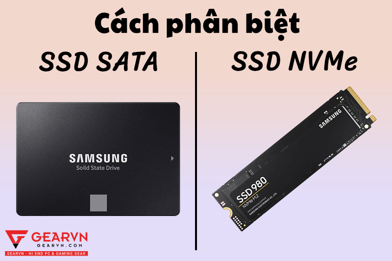 Cách phân biệt SSD SATA và SSD NVMe khi build PC – GEARVN.COM