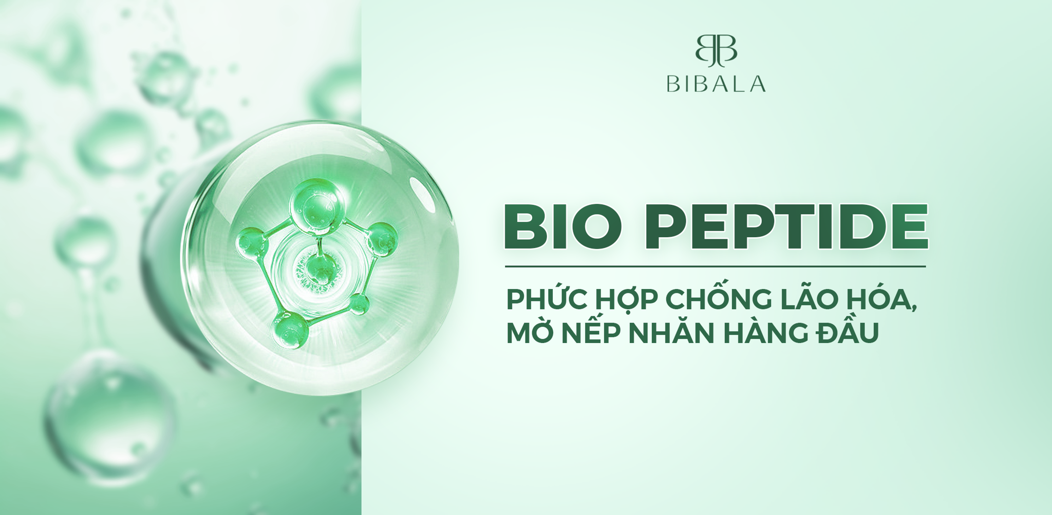 PHỨC HỢP BIO PEPTIDE - HOẠT CHẤT CHỐNG LÃO HÓA DA HÀNG ĐẦU – Bibala