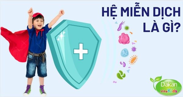 Hệ miễn dịch là gì? Các biện pháp tăng cường miễn dịch cho trẻ – Danh ...