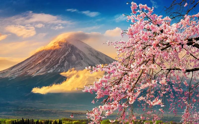 Du lịch Nhật Bản tự túc - tối ưu hành trình cùng VIGO Travel