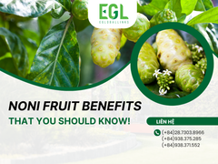 NONI FRUIT BENEFITS THAT YOU SHOULD KNOW! – EGLOBALLINKS E-COMMERCE ...