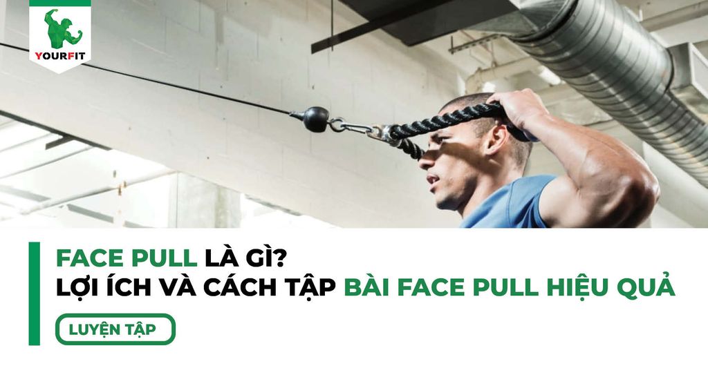 Face Pull Là Gì? Lợi Ích và Cách Tập – YourFit | Private Gym với PT 1 kèm 1