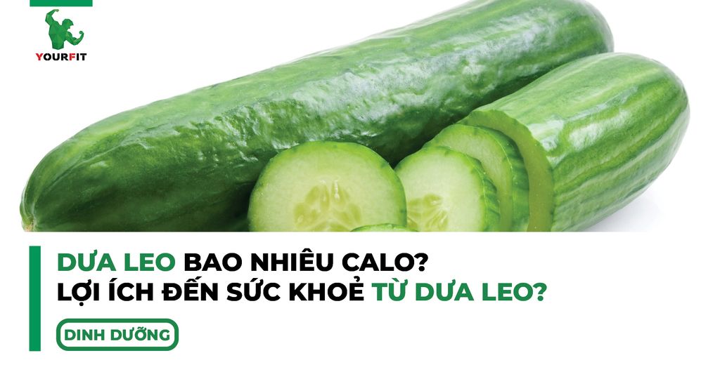 Dưa leo bao nhiêu calo, lợi ích đến sức khoẻ từ dưa leo? – YourFit ...