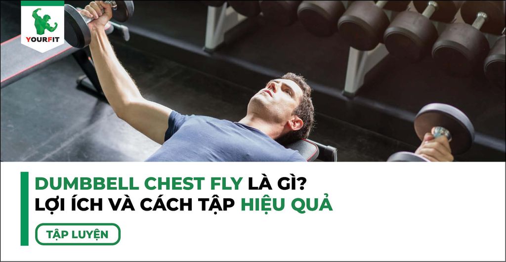 Dumbbell Chest Fly Là Gì? Lợi Ích Và Cách Tập – YourFit | Private Gym ...