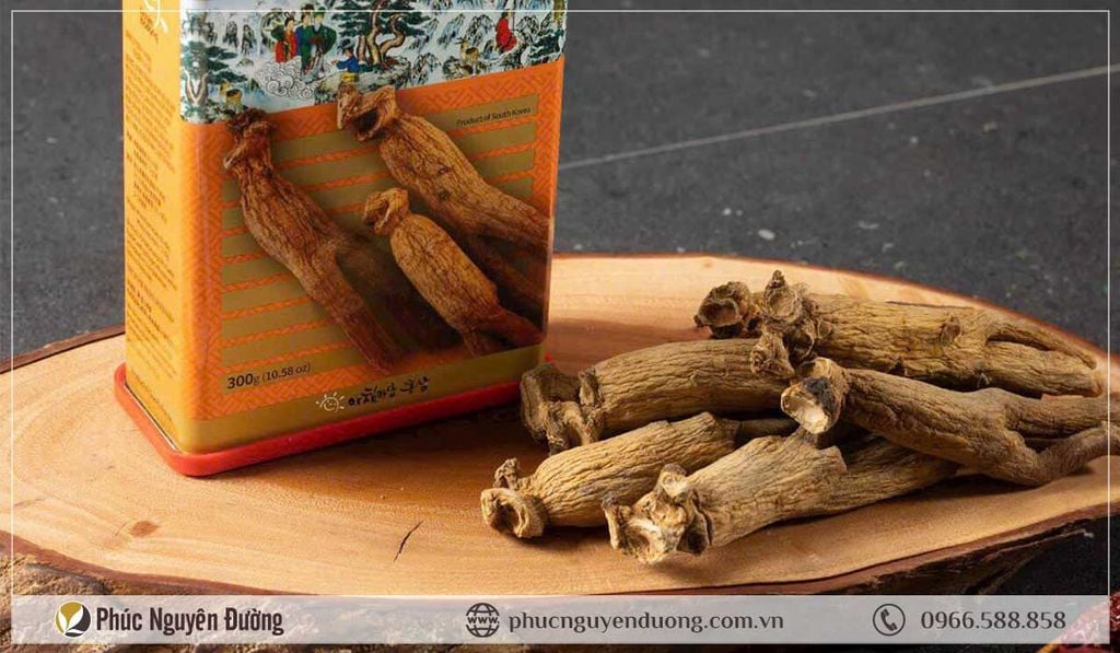 Top 7 Cây thuốc Nam chữa sỏi thận kèm bài thuốc cực hay – Phúc Nguyên Đường