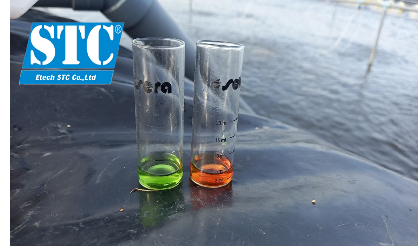 TẠI SAO PHẢI XỬ LÝ KHÍ ĐỘC NH3, NO2-, H2S TRONG AO NUÔI TÔM, CÁ ...