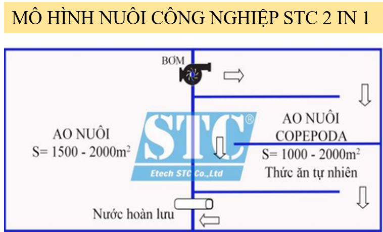 MÔ HÌNH SIÊU THÂM CANH – "STC 2 IN 1" - Thuốc thủy sản Etech STC