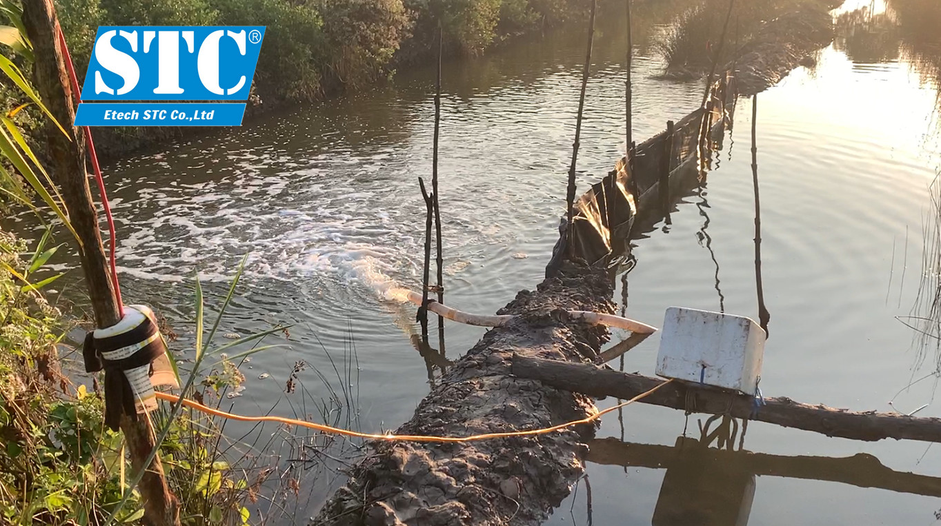 QUY TRÌNH NUÔI TÔM STC A3 - SÔNG TRONG AO - Thuốc thủy sản Etech STC