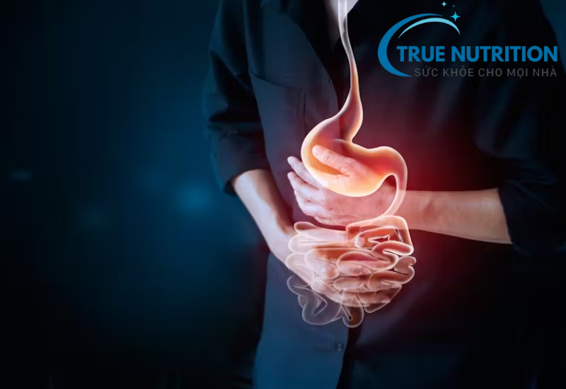 Viêm Teo Niêm Mạc Dạ Dày Kimura C3: Nguy Hiểm Tiềm Ẩn – Công Ty CP True ...