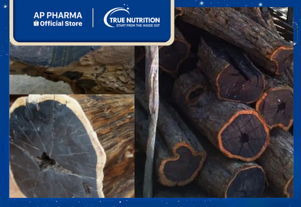 Cây Mun Đen: Đặc Điểm, Ứng Dụng và Giá Trị Kinh Tế Cao – Công Ty CP ...