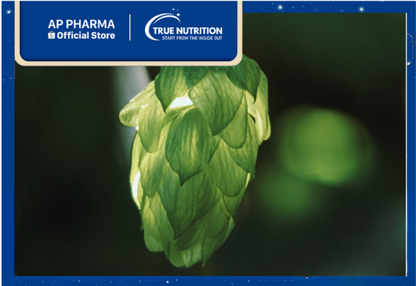 Hoa Bia: Cây Thuốc Quý và Tác Dụng Kỳ Diệu – Công Ty CP True Nutrition