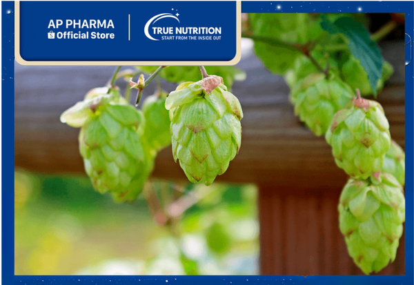 Hoa Bia: Cây Thuốc Quý và Tác Dụng Kỳ Diệu – Công Ty CP True Nutrition