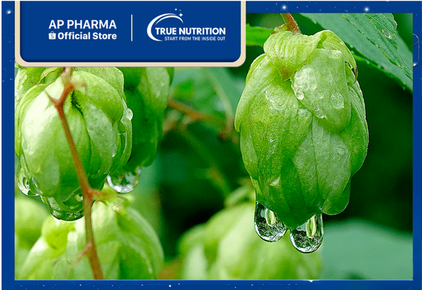 Hoa Bia: Cây Thuốc Quý và Tác Dụng Kỳ Diệu – Công Ty CP True Nutrition